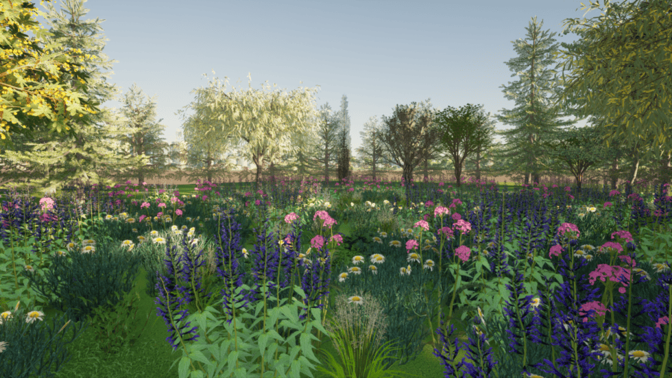 How to create a wildflower meadow? - RhinoLands