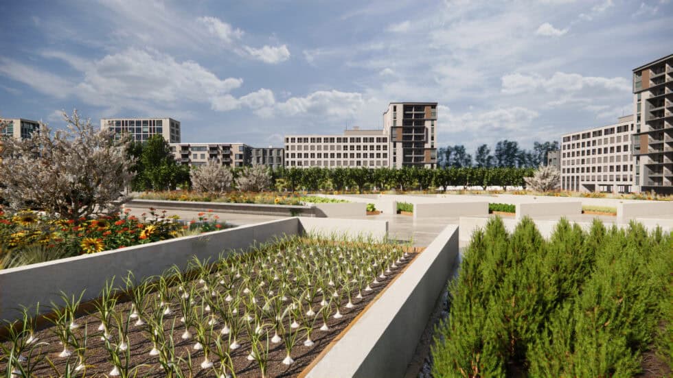 The Rise of Urban Farming: Advantages of Urban Farms in Modern Cities ...