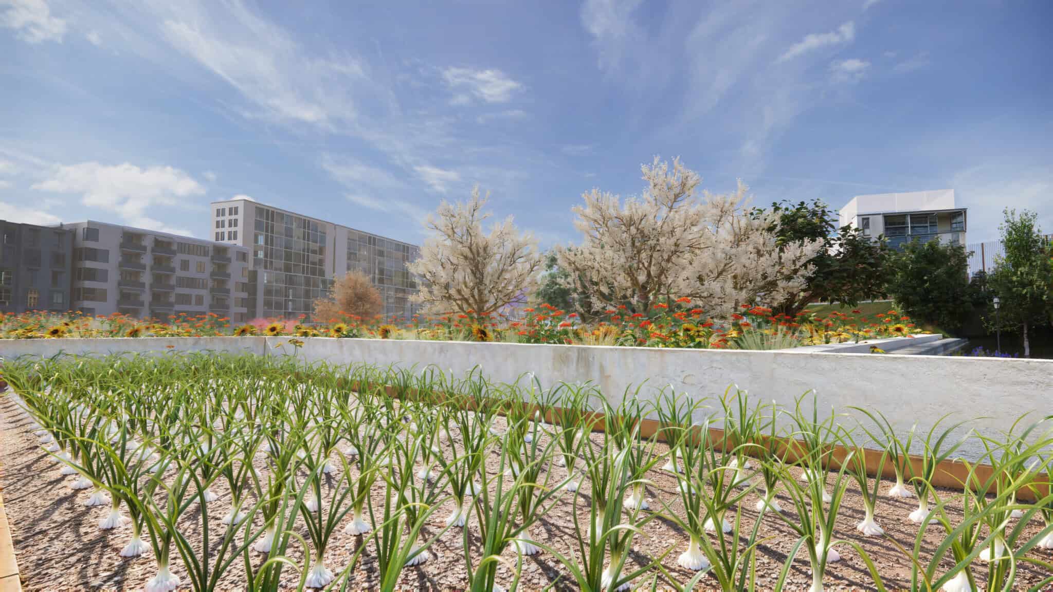 The Rise of Urban Farming: Advantages of Urban Farms in Modern Cities ...