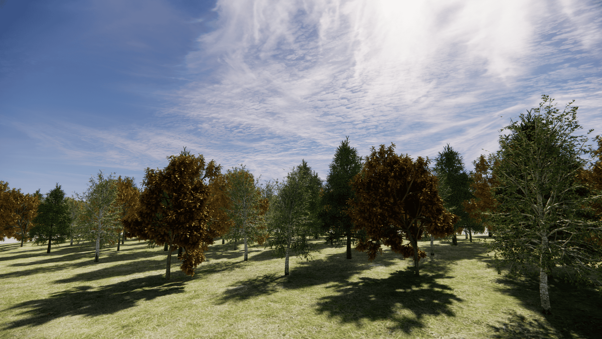 Smart Forestry for a Hotter Future: Planting Plans to Recover Burned ...